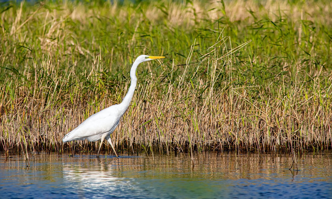 Our Climate Alliance